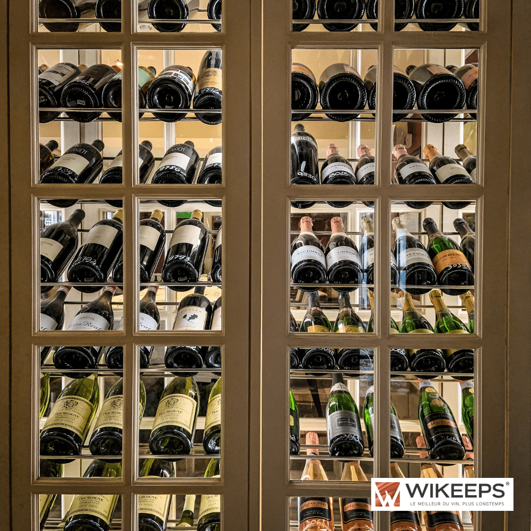 Wine by the glass dispensers and their characteristics explained - Wikeeps