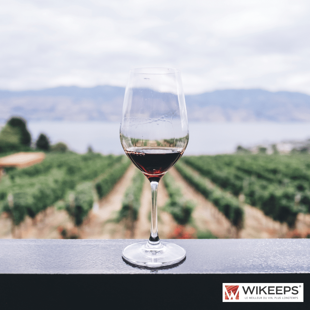 Découvrez les meilleurs vins rouges par région